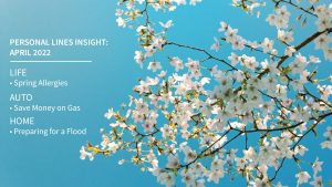 Insurance Blog - Verge Insurance